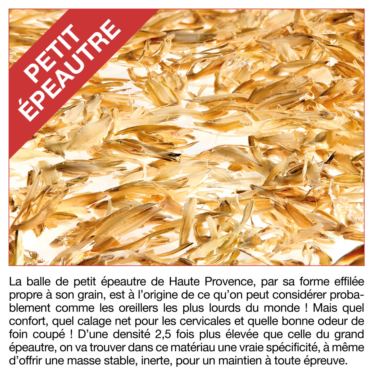Oreillers en balles de petit épeautre de Haute Provence – Site officiel ...