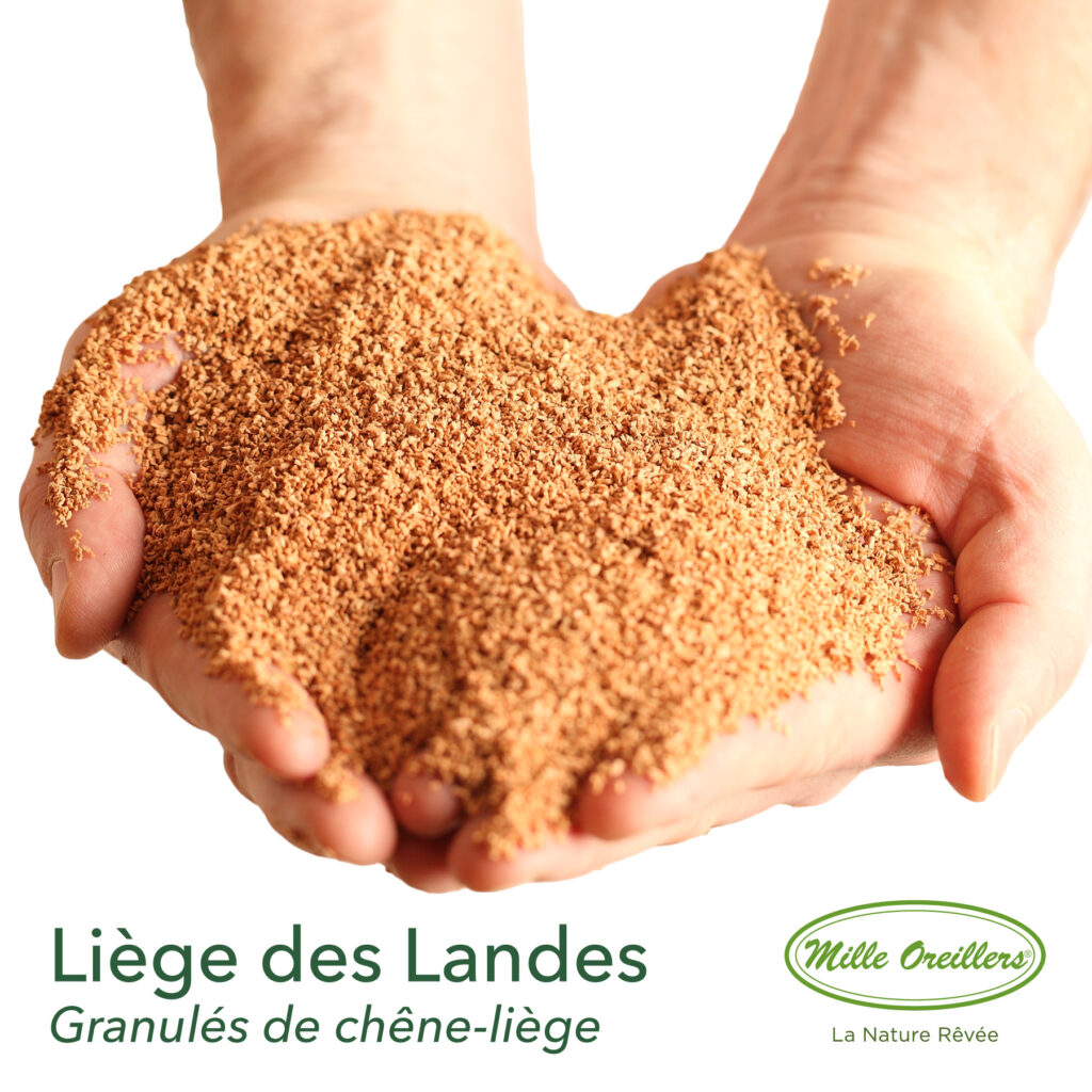 Oreillers à la fleur de liège des Landes – Site officiel MILLE OREILLERS